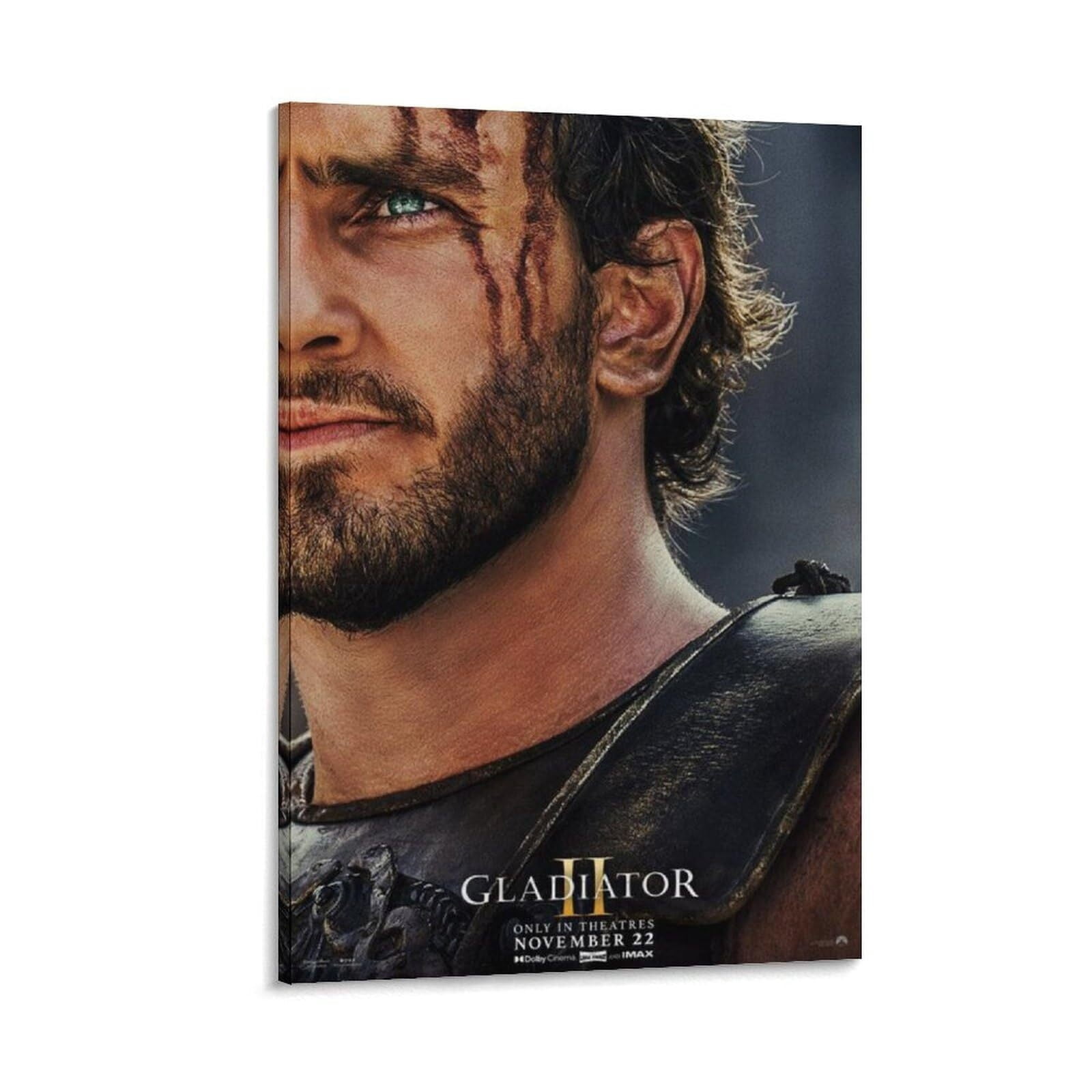 Gladiator II (11) Canvas Wall Art Poster Decorative Bedroom Modern Home ...