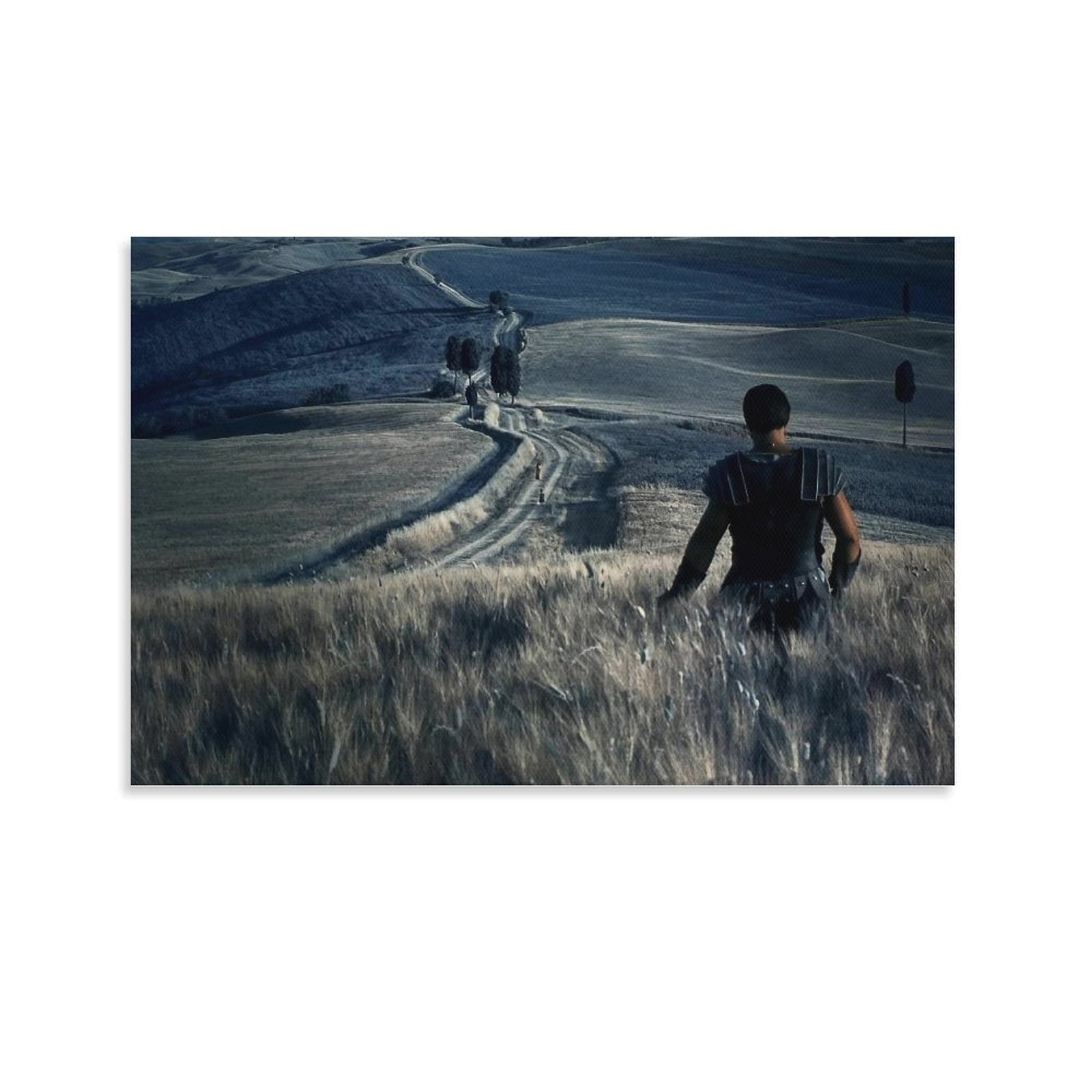 Gladiator Movie Poster (1) Wall Art Poster Scroll Canvas Painting ...