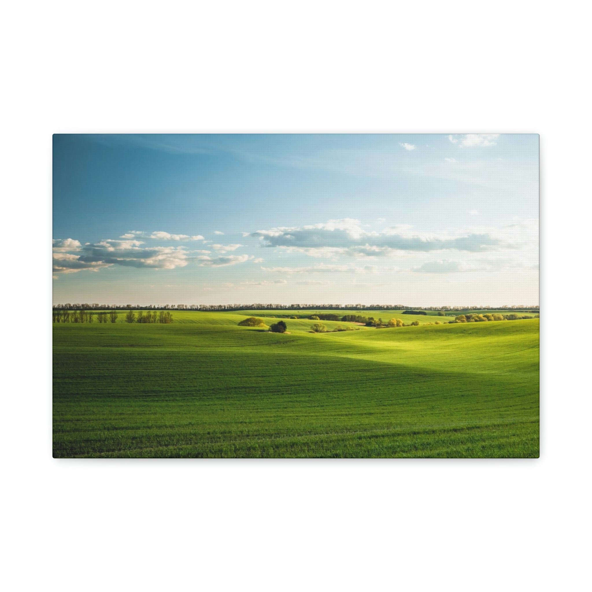 Glamorous Green Wavy Fields Scene Beautiful Astonishing and Splendid ...