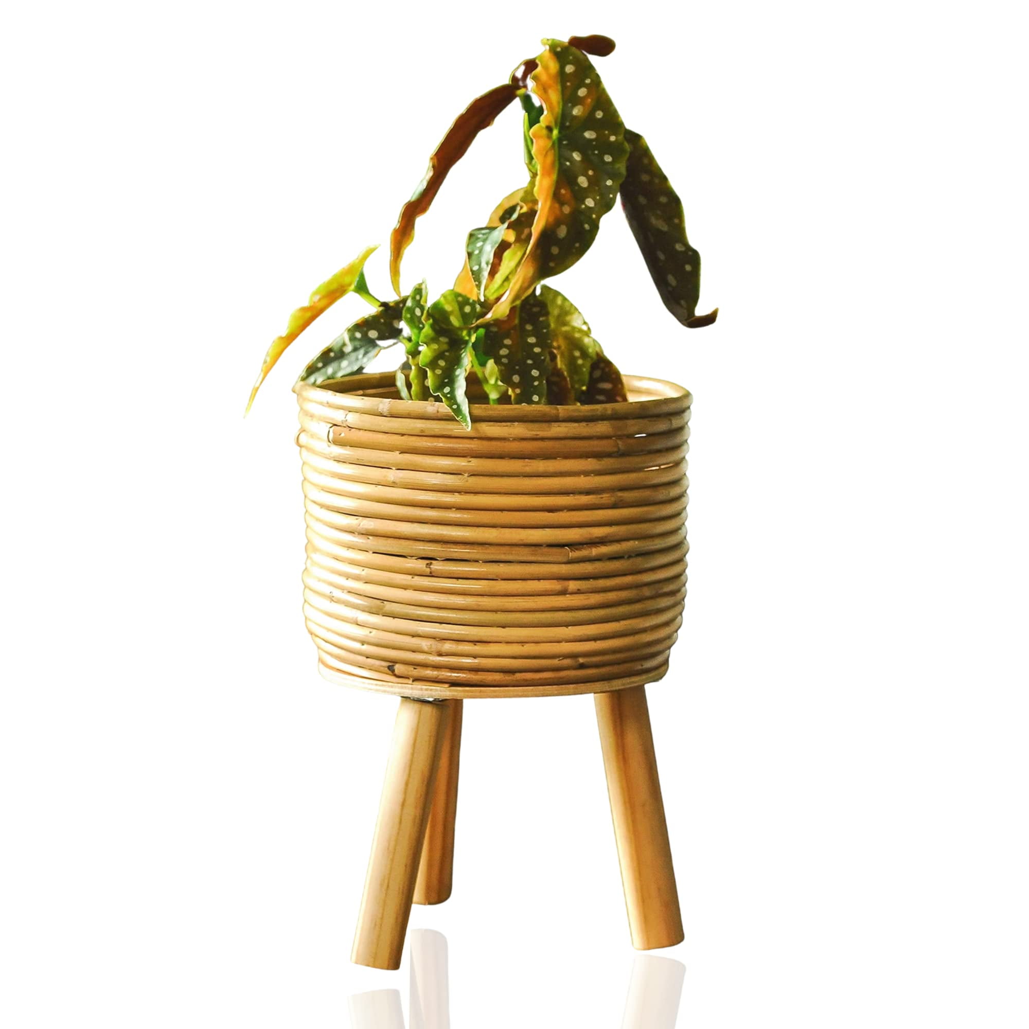 Glamplife Natural Rattan Plant Stand - Handmade Wicker Plant Stand ...