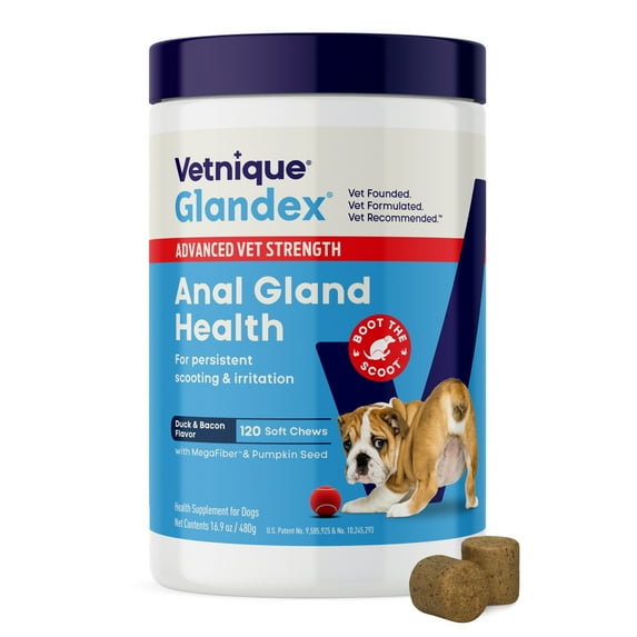 Vetnique Labs Glandex Advanced Strength Digestive Support Chews for ...