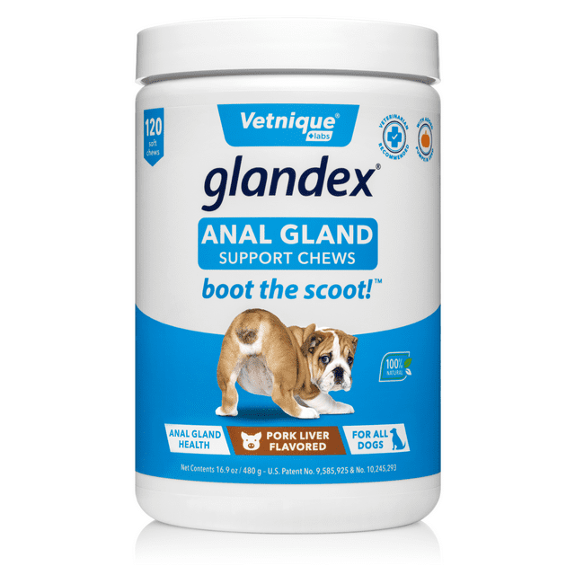 Glandex Anal Gland Soft Chew Treats with Pumpkin for Dogs 120ct Chews with Digestive Enzymes ...