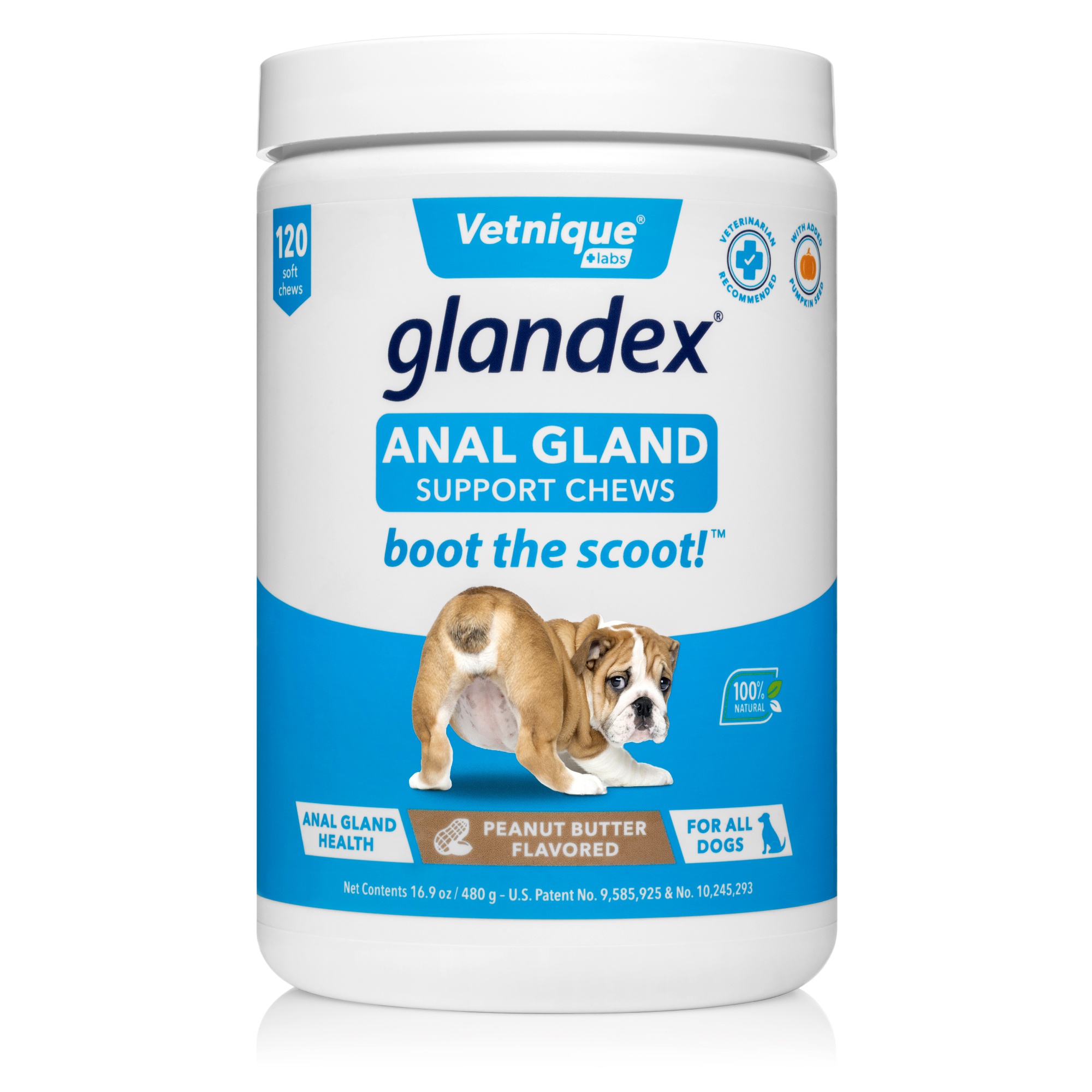 Glandex Peanut Butter Anal Gland Support for Dogs, 30 Soft Chews ...