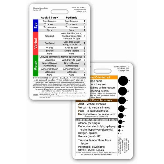 Glasgow Coma Scale (GCS) Vertical Reference Badge ID Card (1 Card) - Walmart.com