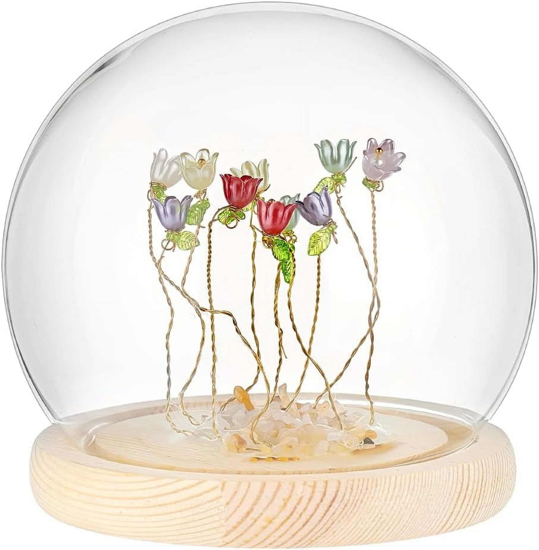 Glass 1 pc Glass Display Dome Cloche 5.3 Inch Glass Bell Jar Dome Cover ...