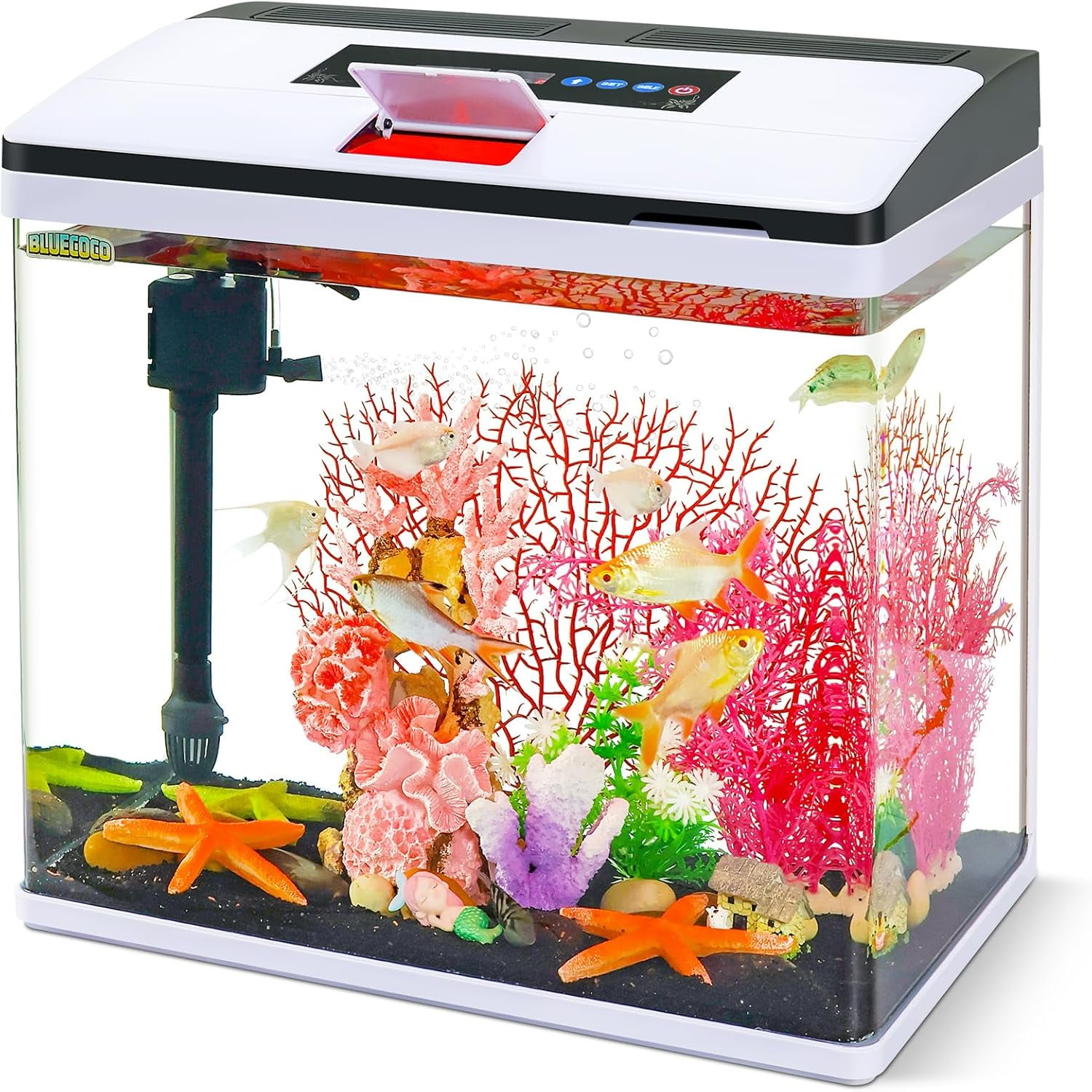 Glass 10 Gallon Aquarium Fish Tank Starter Kit with Temperature and ...
