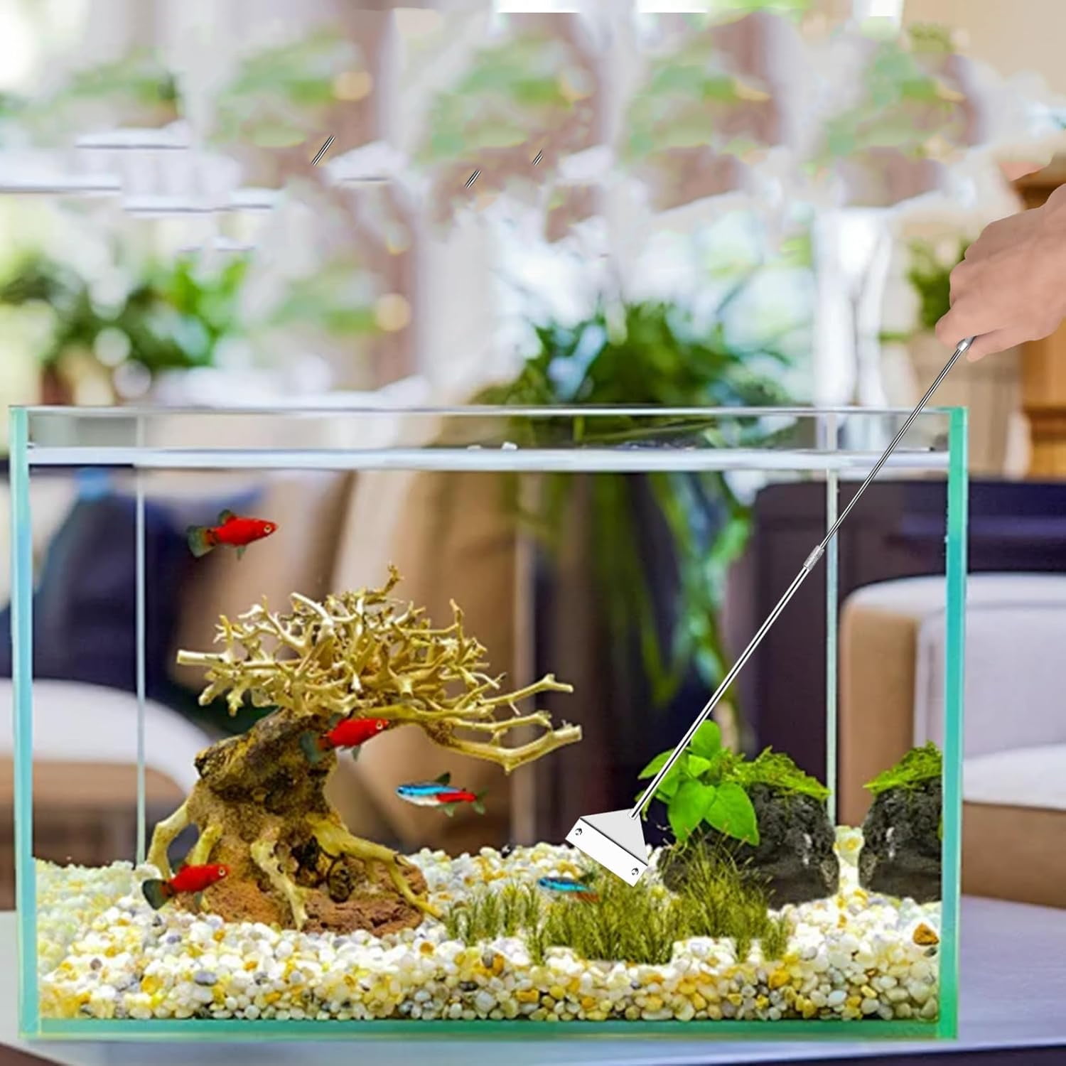 Glass Aquariums Algae Scraper - Durable Stainless Steel, Remove ...