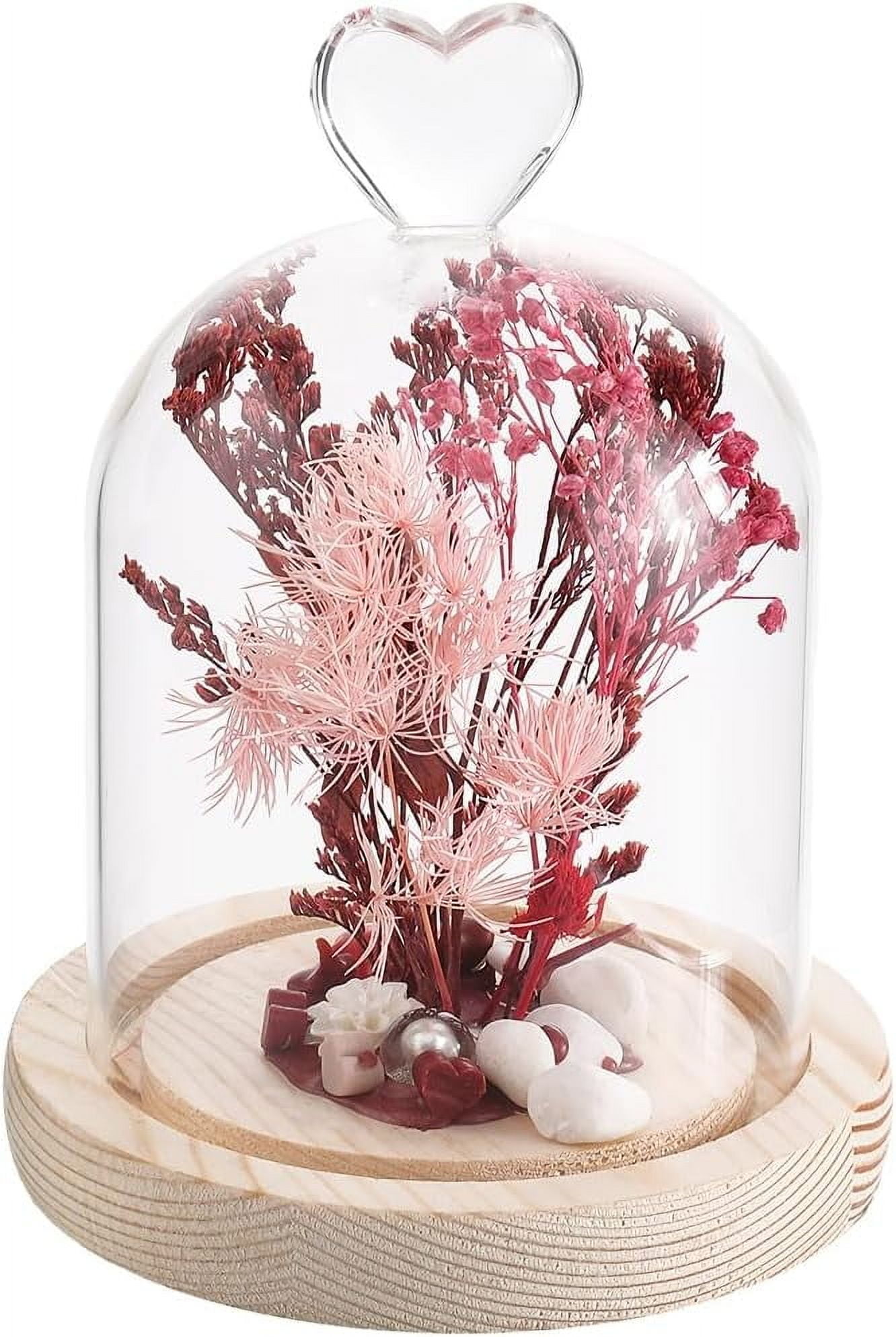Glass Bell Jar Dome 113x150mm Decorative Mini Cloche Dome with Wood ...