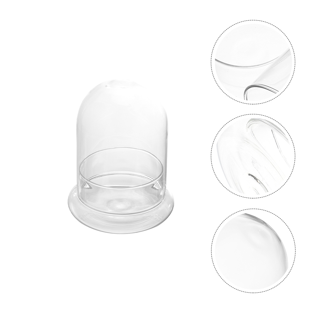 Glass Bell Jar Dome Glass Display Cake Cover Clear Cloche Dome Cover ...