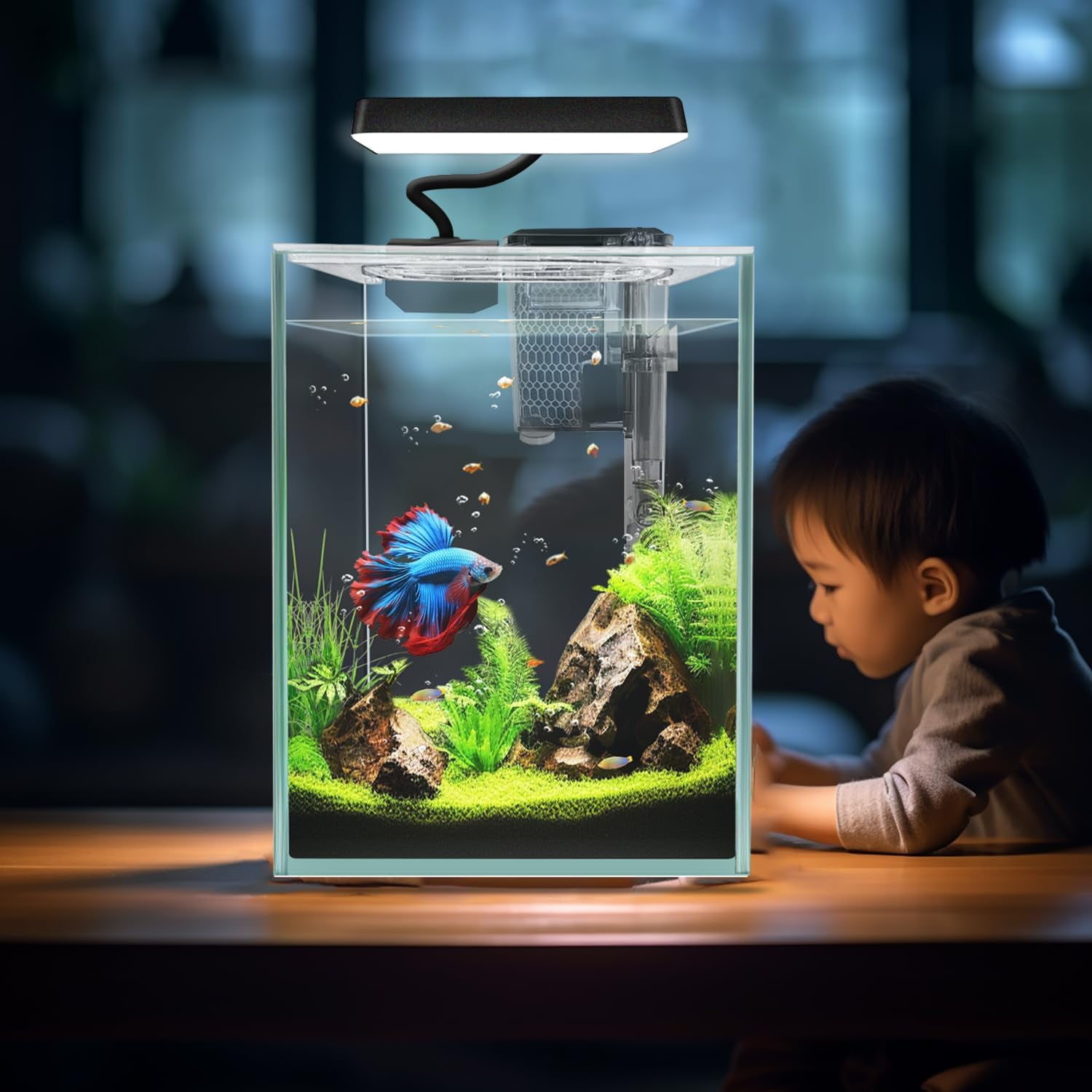 Glass Betta Aquarium Starter Kits 1.5 Gallon Small Fish Tank, Betta ...