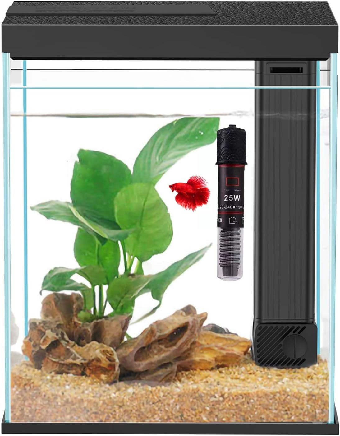 Glass Betta Aquarium Starter Kits, 2 Gallon Fish Tank with Heater ...