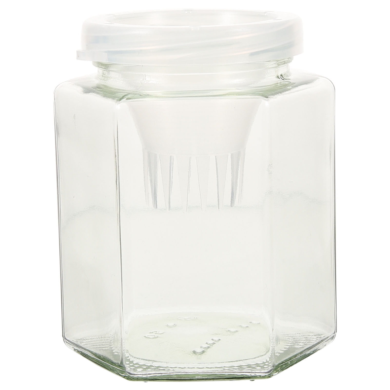 Portable Fish Bottle for Outdoor Use Glass Material Transparent Color ...