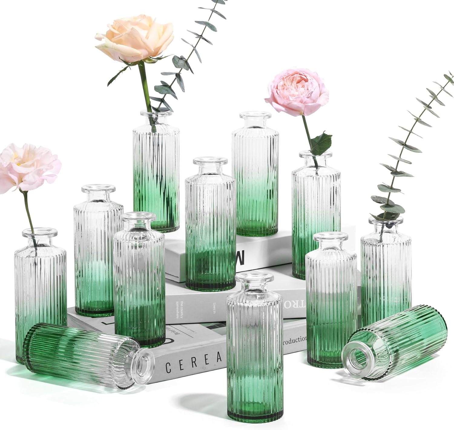 Glass Bud Vases Set of 12, Small Bud Vase in Bulk, Mini Flower Vase for ...