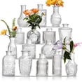 Glass Bud Vases Set of 16 - Assorted Small Mini Glass Vases for Flowers ...