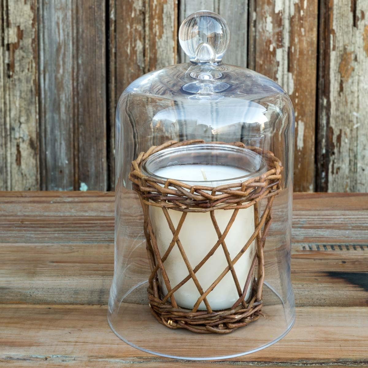 Glass Cloche Bell Jar - Plant Terrarium - Centerpiece Dome Display ...