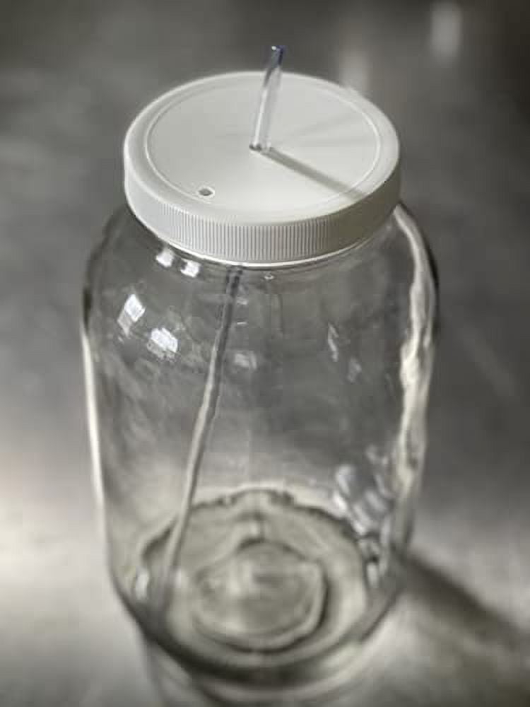 Glass Culture Jar and Rigid Air Tube Set - Mercer of Montana Home ...
