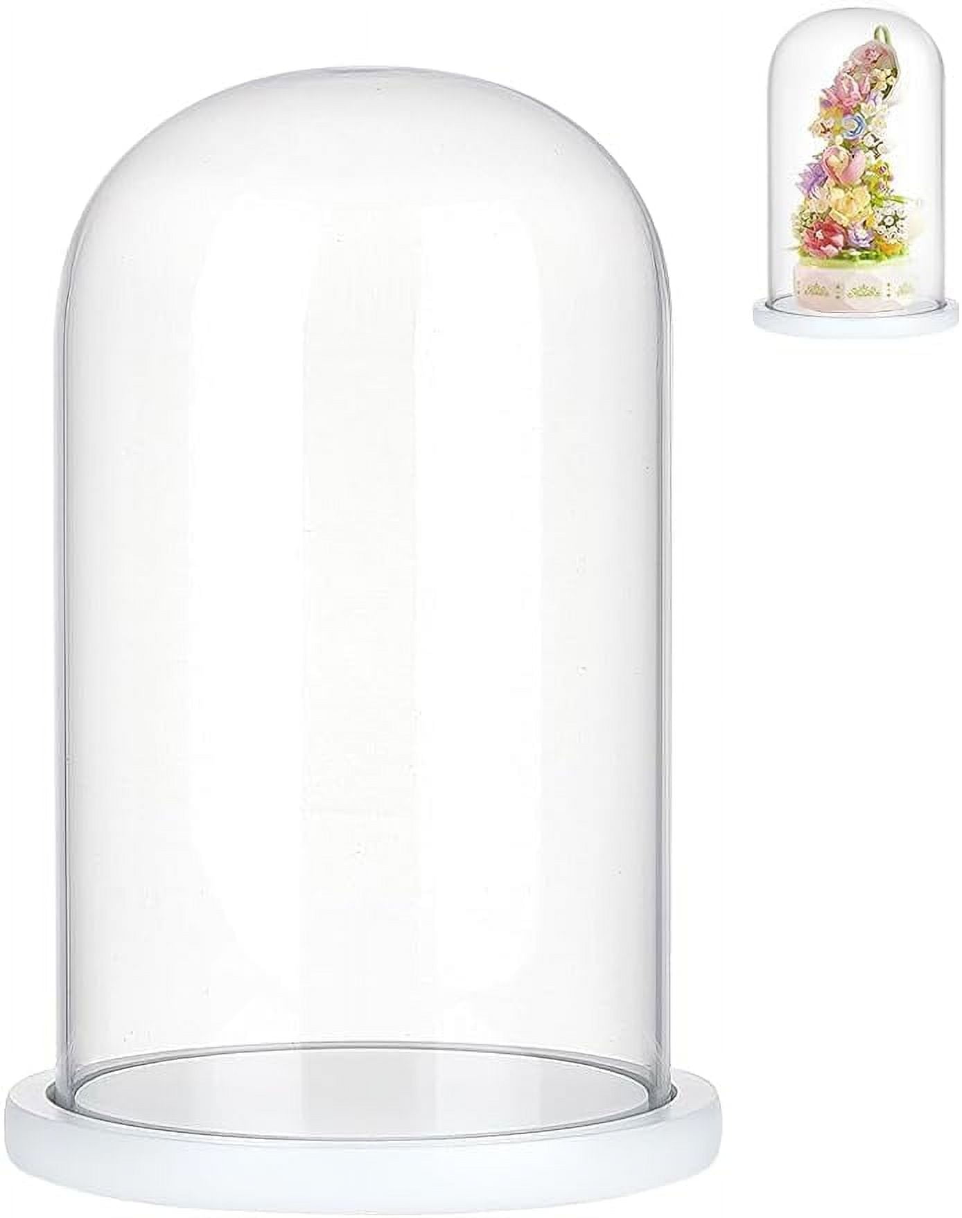 Glass Display Cloche Dome Decorative Glass Dome Cover Clear Bell Jar ...