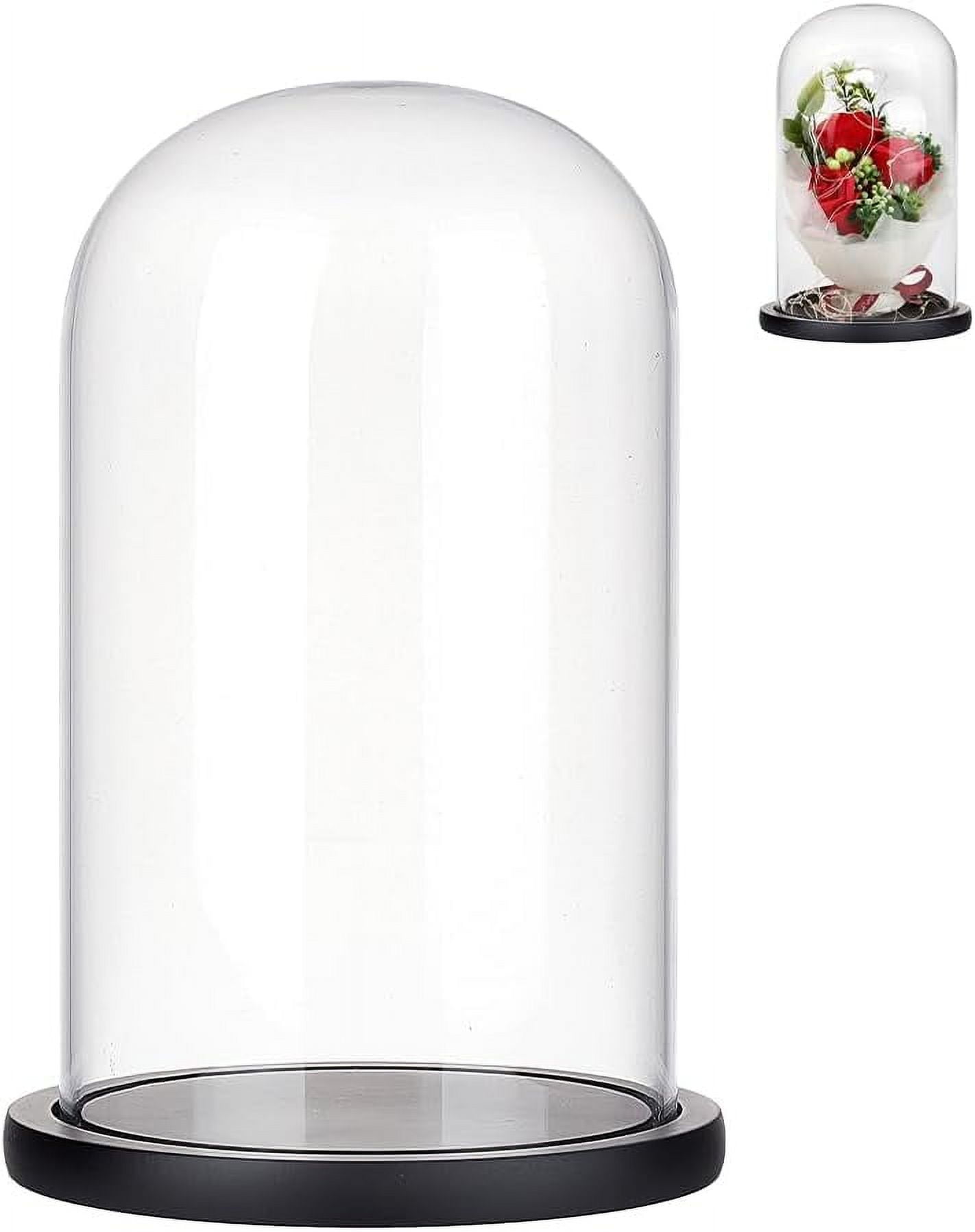 Glass Display Cloche Dome Decorative Glass Dome Cover Clear Bell Jar ...