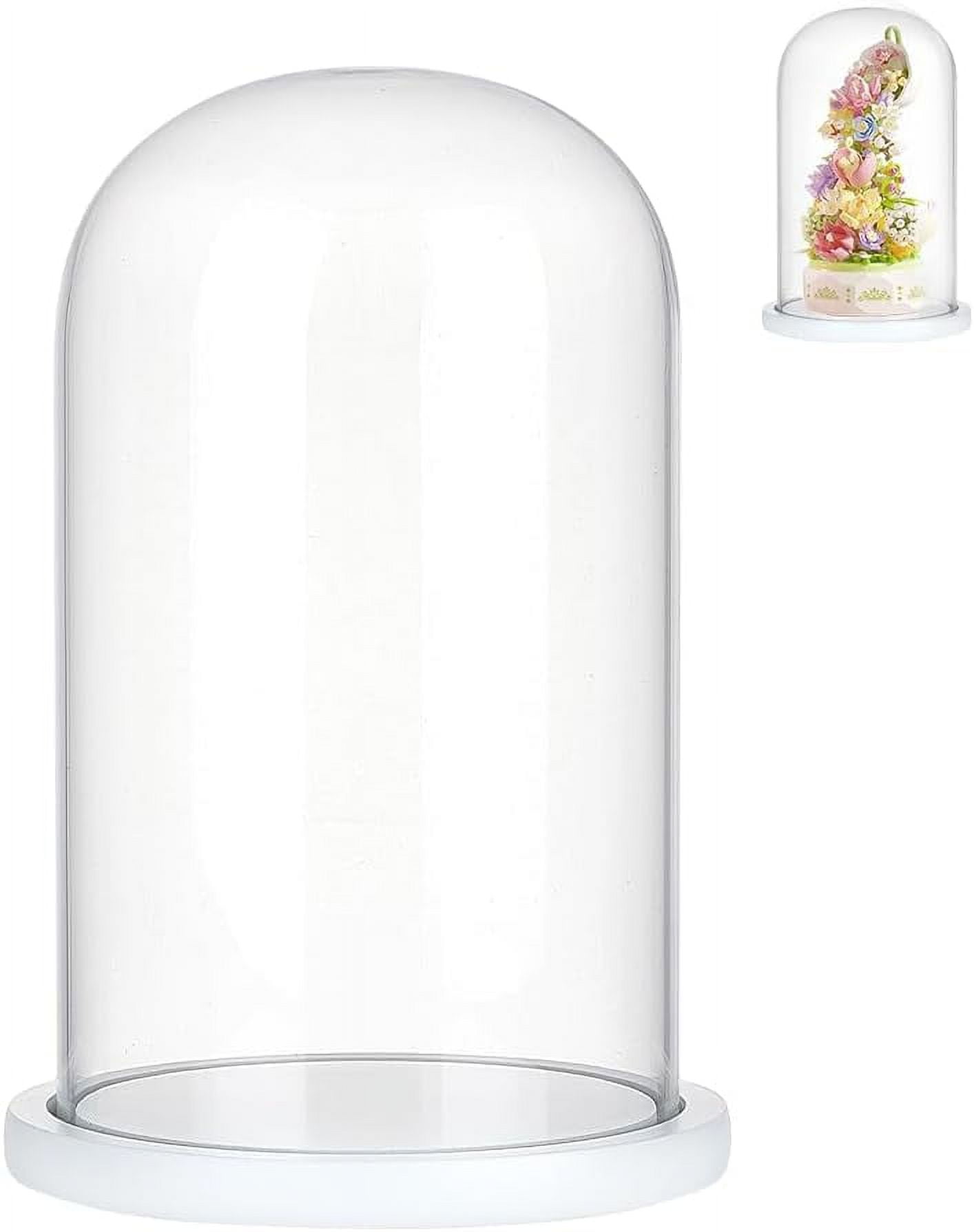 Glass Display Cloche Dome Decorative Glass Dome Cover Clear Bell Jar ...