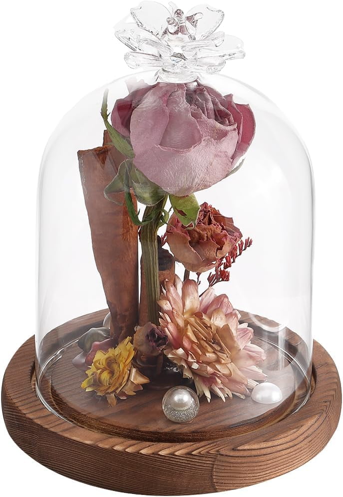 Glass Display Dome 92x132mm Glass Cloche Bell Jar with Wooden Base ...