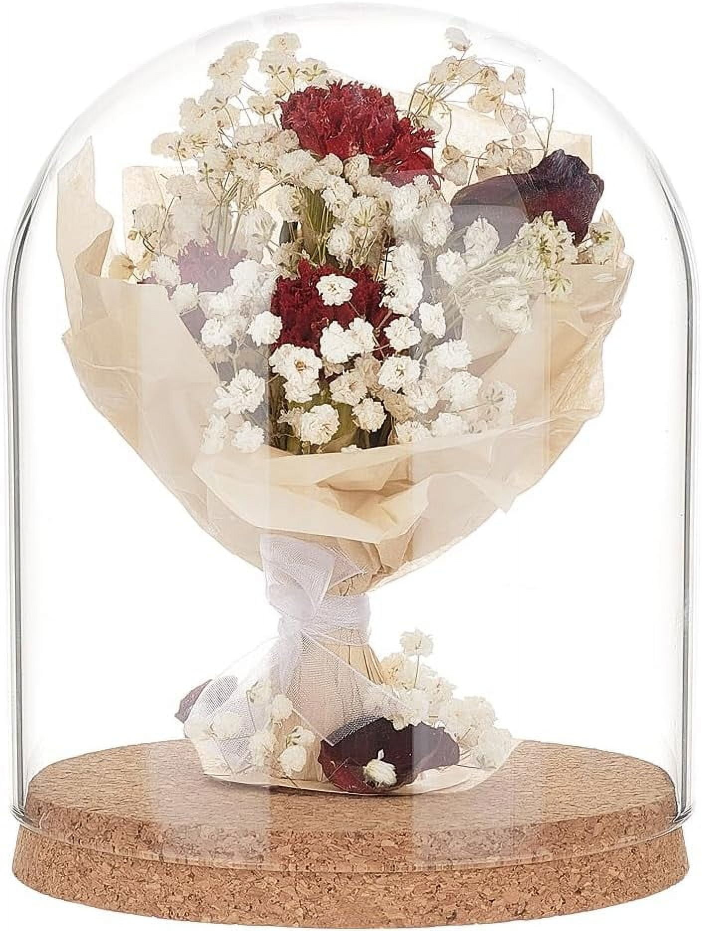 Glass Display Dome Cloche 7.5x6inch Glass Bell Jar Display Dome Glass ...