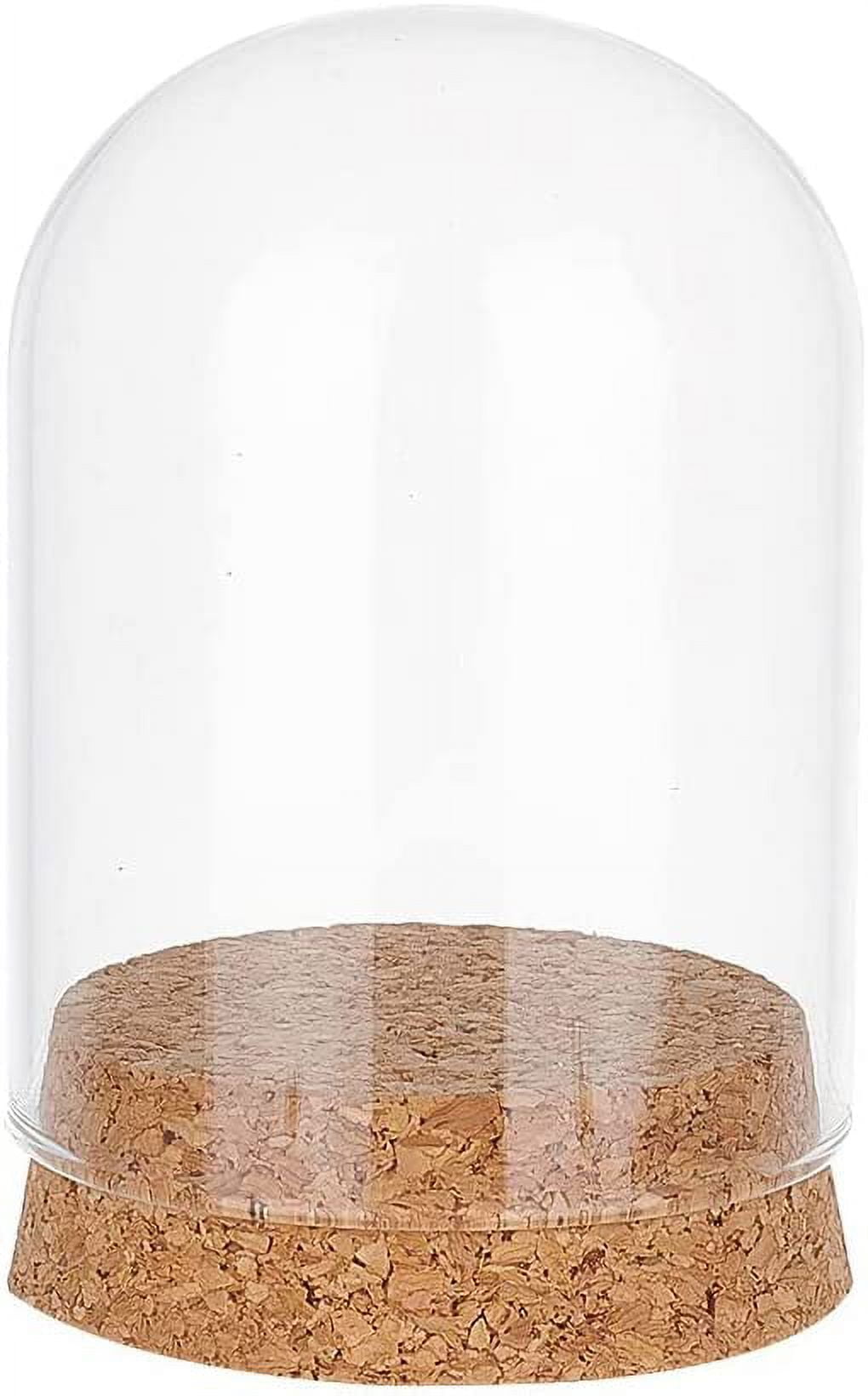 Glass Display Dome Cloche Glass Bell Jar with Cork Base Glass Bottles ...