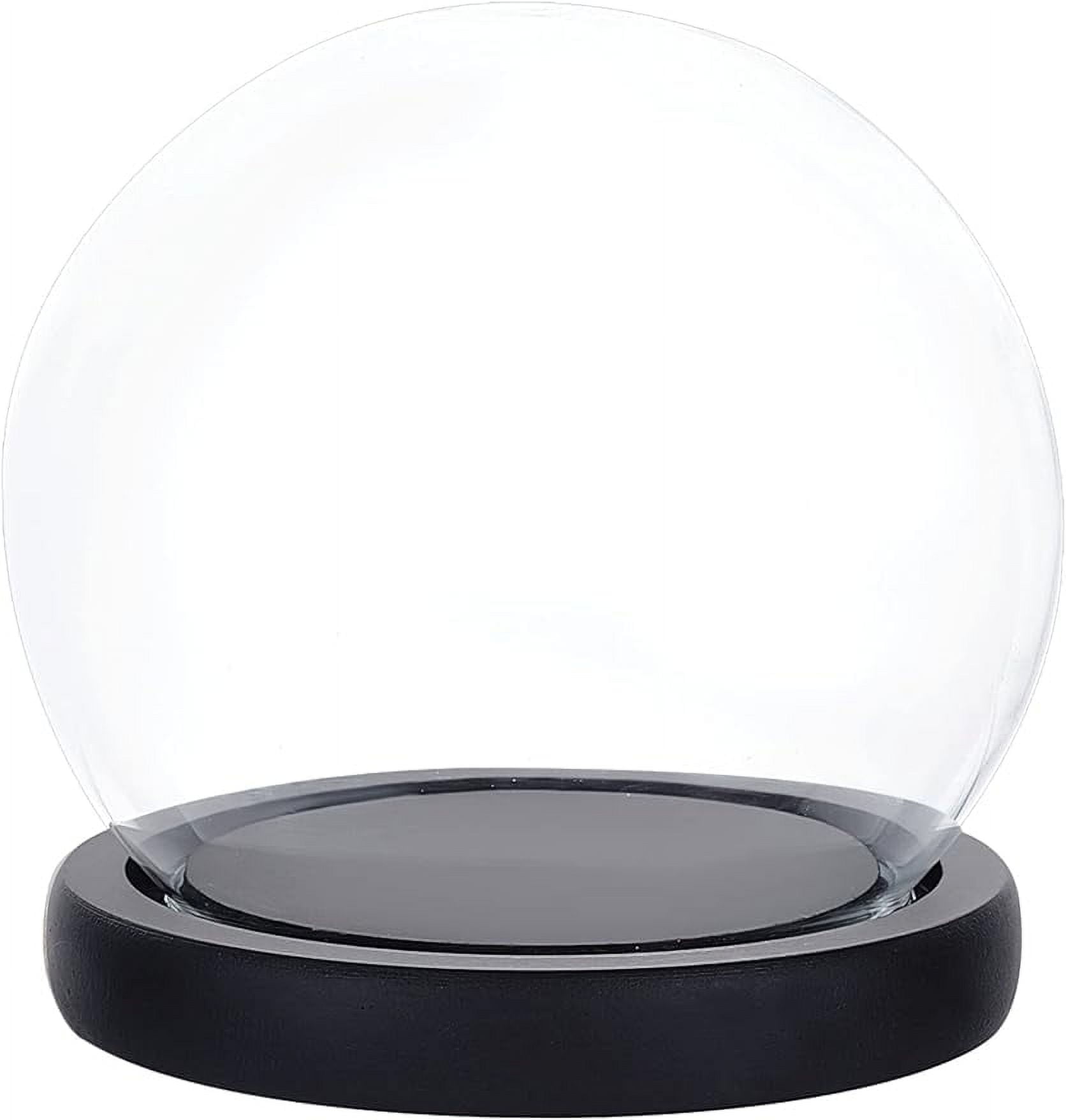 Glass Display Dome Cloche with Black Wood Base Decorative Display Dome ...