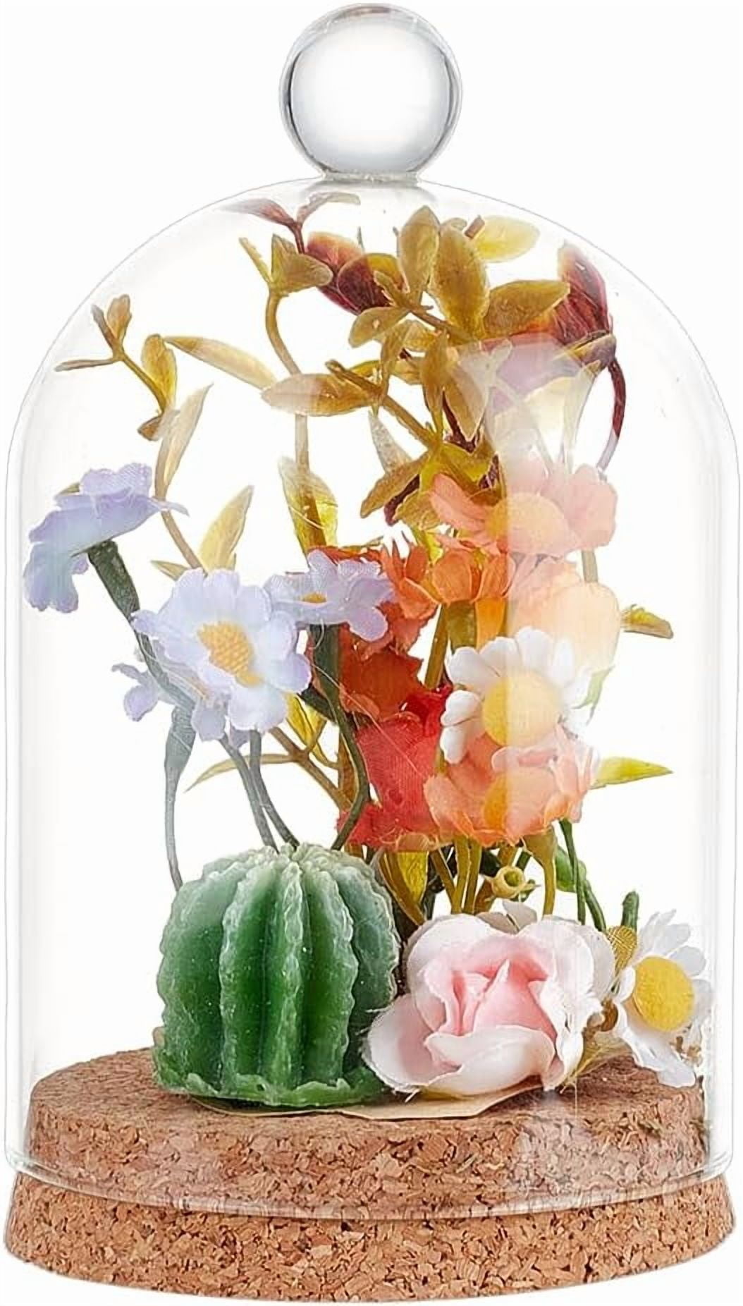 Glass Display Dome Cloche with Round Top Handle 5.6x3.5inch Dome ...