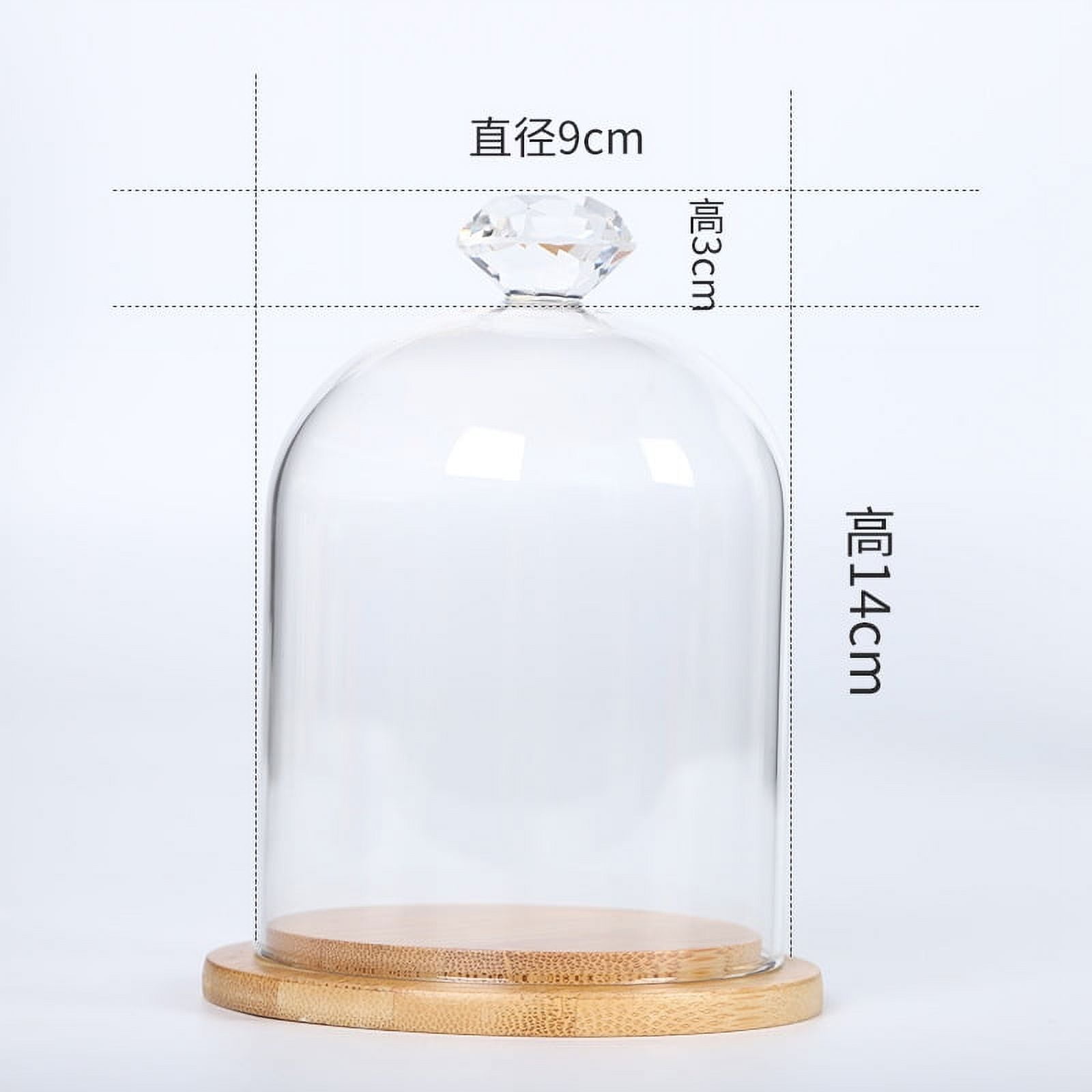 Glass Display Dome Model Keepsake Display Holder Table Decorative Case ...
