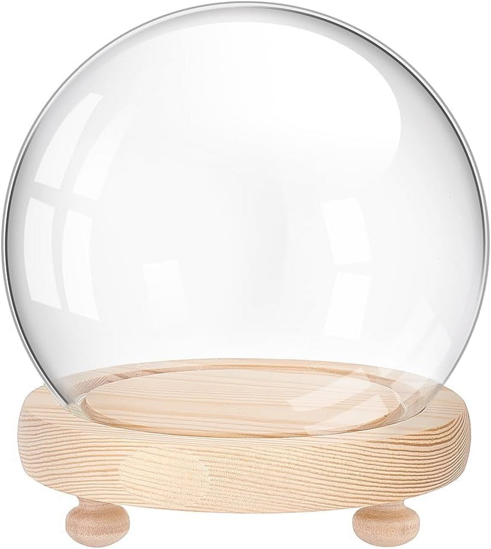 Glass Display Showcase with Base Glass Dome Cloche Miniature Case ...