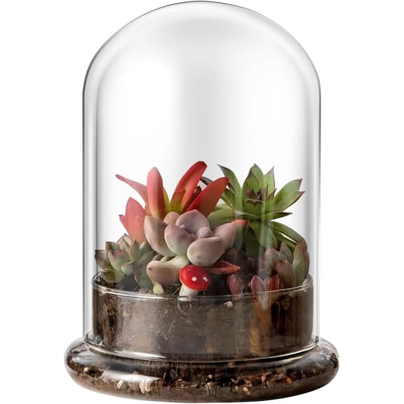 Glass Domes