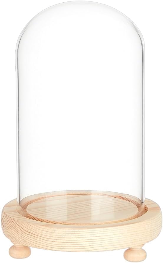 Glass Dome with Base Glass Cloche Bell Jar Display Dome Cloche Glass ...