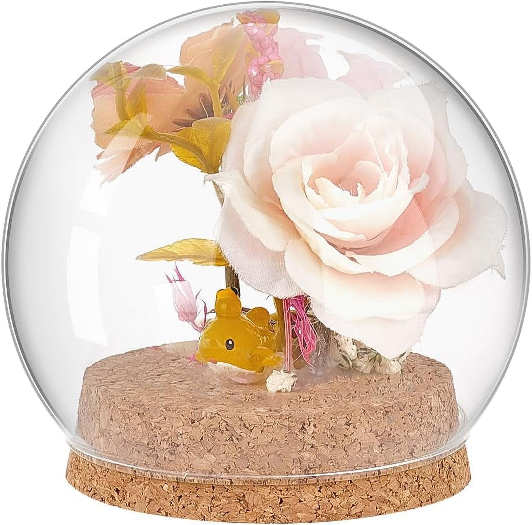 Glass Dome with Base Glass Cloche Clear Globe Display Dome Decorative ...