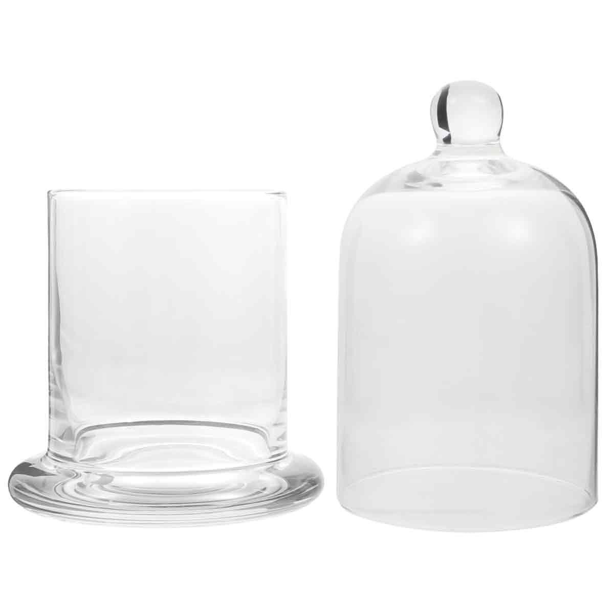 Glass Dome, Clear Glass Bell Jar, Decorative Jar, Glass to Cover Plants ...