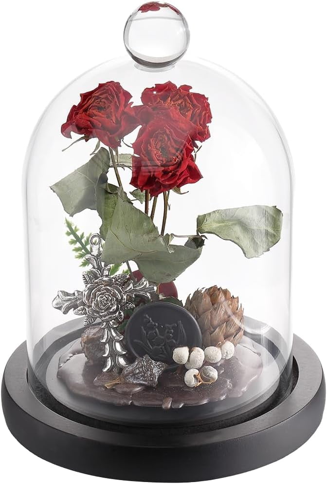 Glass Dome Cloche 105x160mm Glass Cloche with Black Wood Base Clear ...