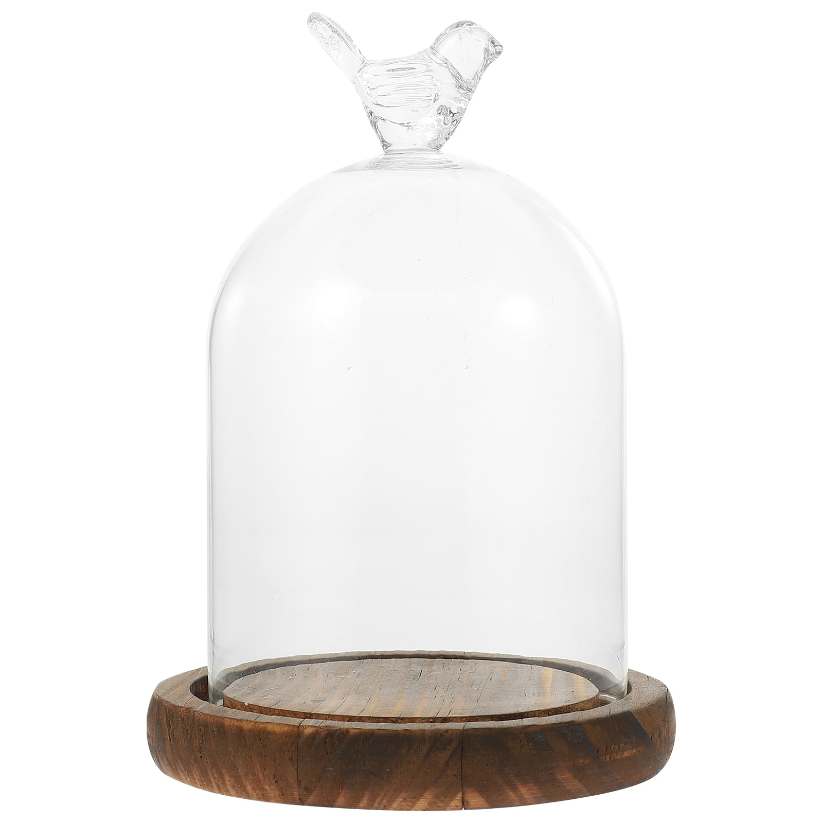 Glass Dome Cloche Display Centerpiece for Plants & Photos 15x9cm ...