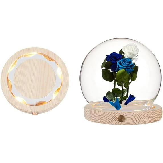 Glass Dome Cloche with LED Light Base High Transparency Display Dome ...