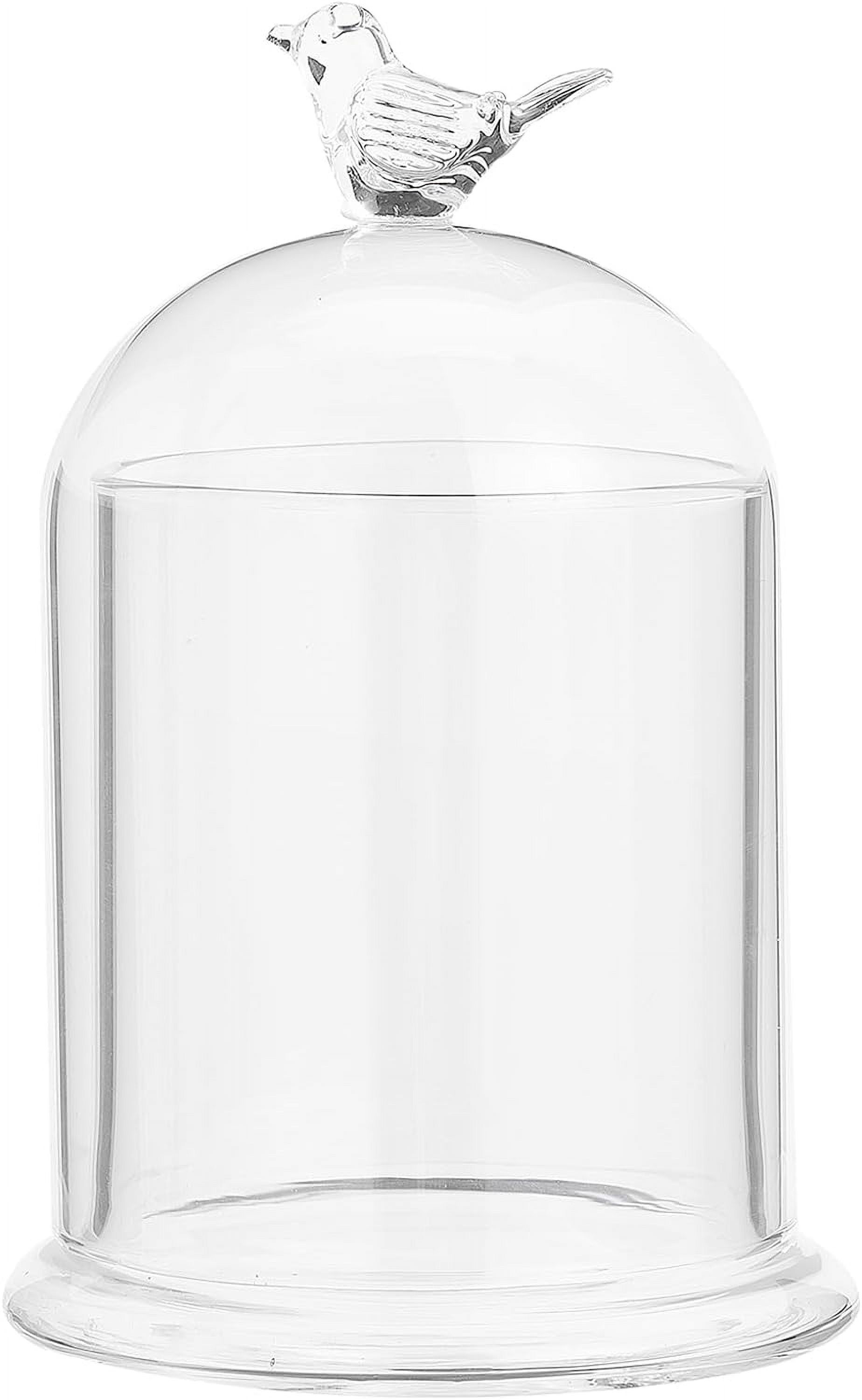 Glass Dome Cover Decorative Display Case Cloche Bell Jar Terrarium ...