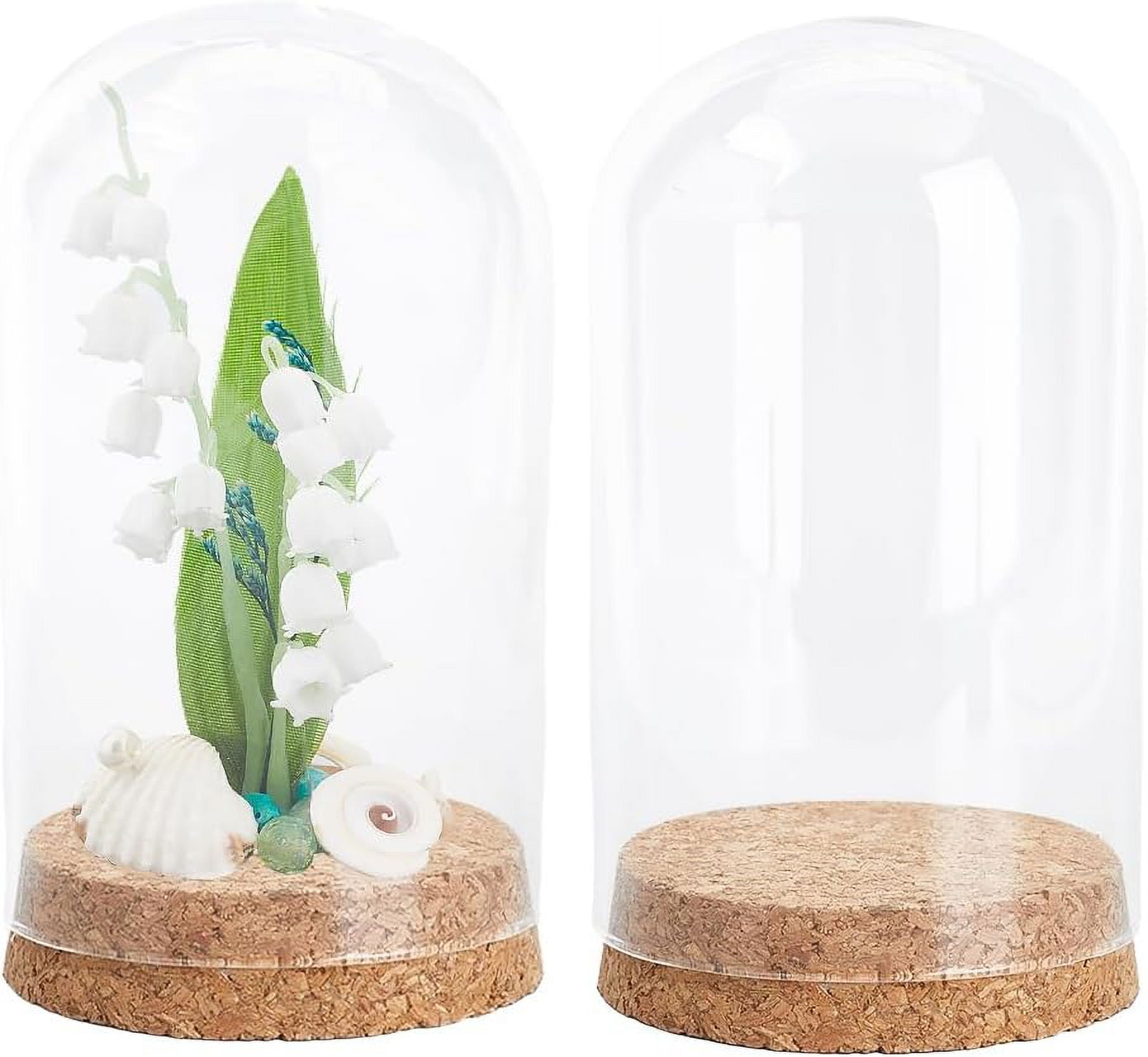 Glass Dome Cover Decorative Display Case Cloche Bell Jar Terrarium with ...