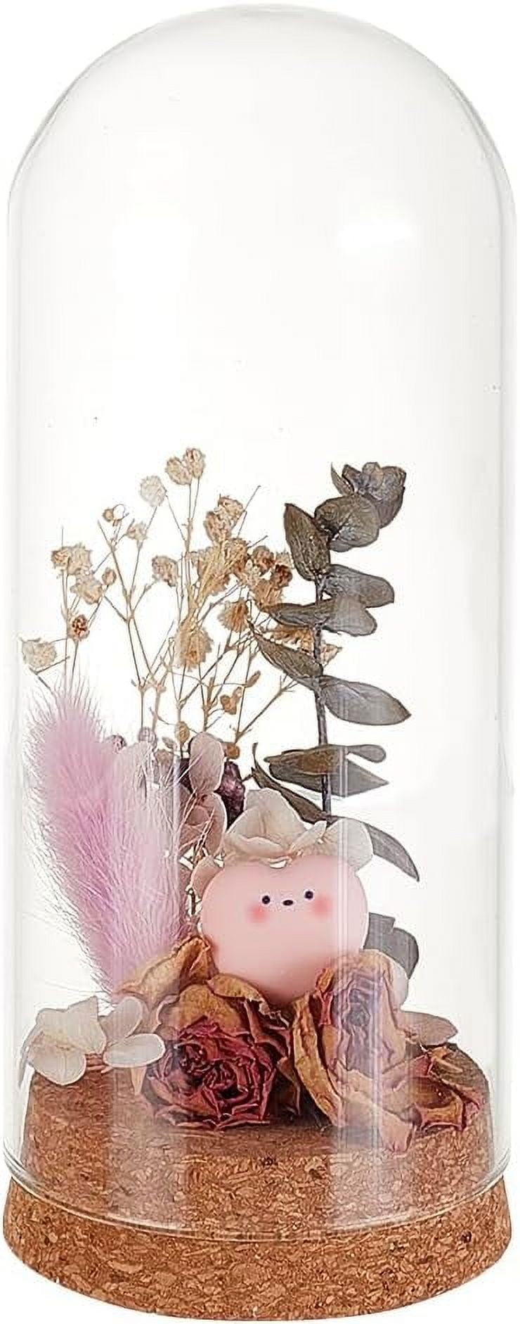 Glass Dome Cover Decorative Display Case Cloche Bell Jar Terrarium with ...