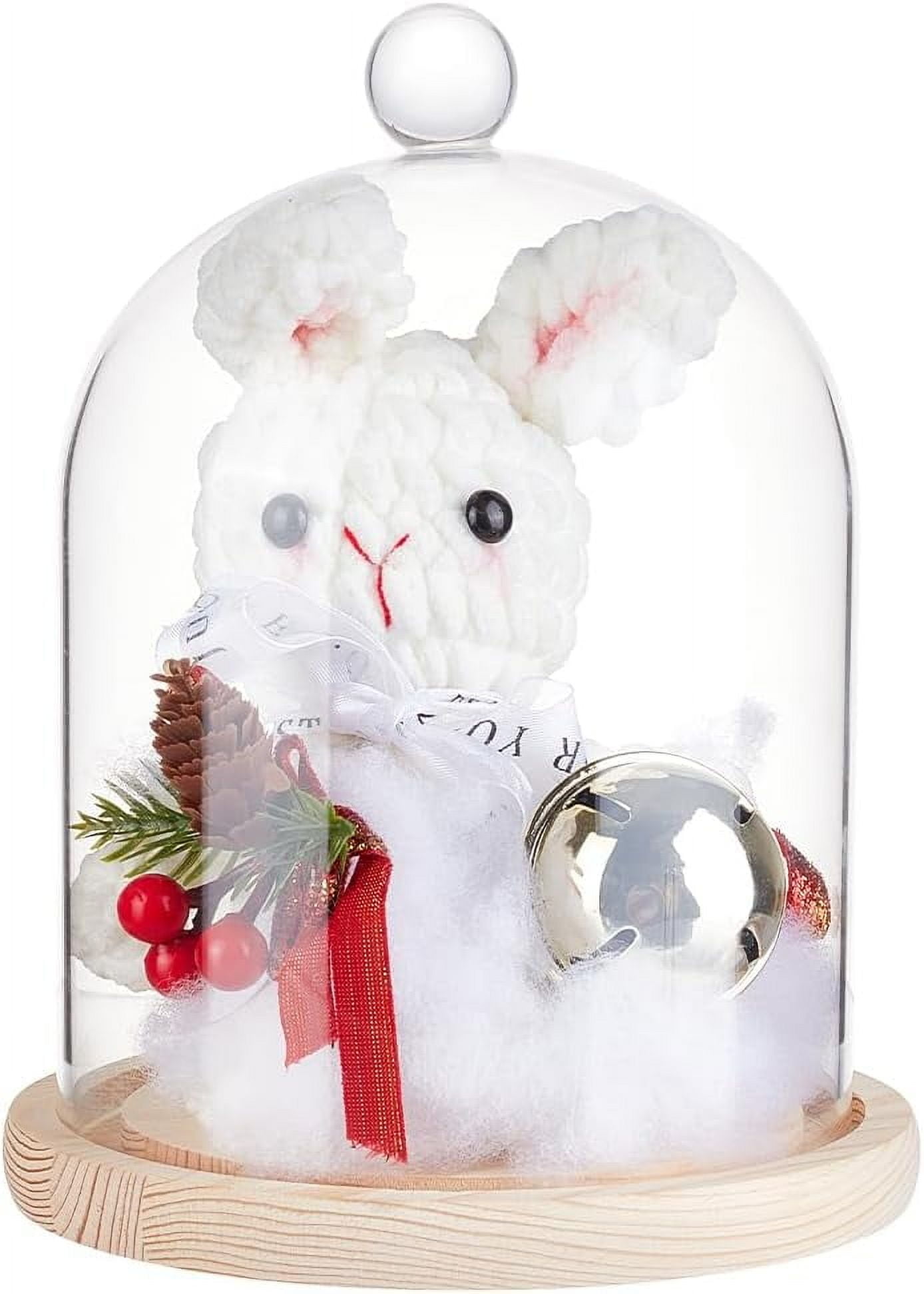 Glass Dome Cover Decorative Display Case Cloche Bell Jar Terrarium with ...