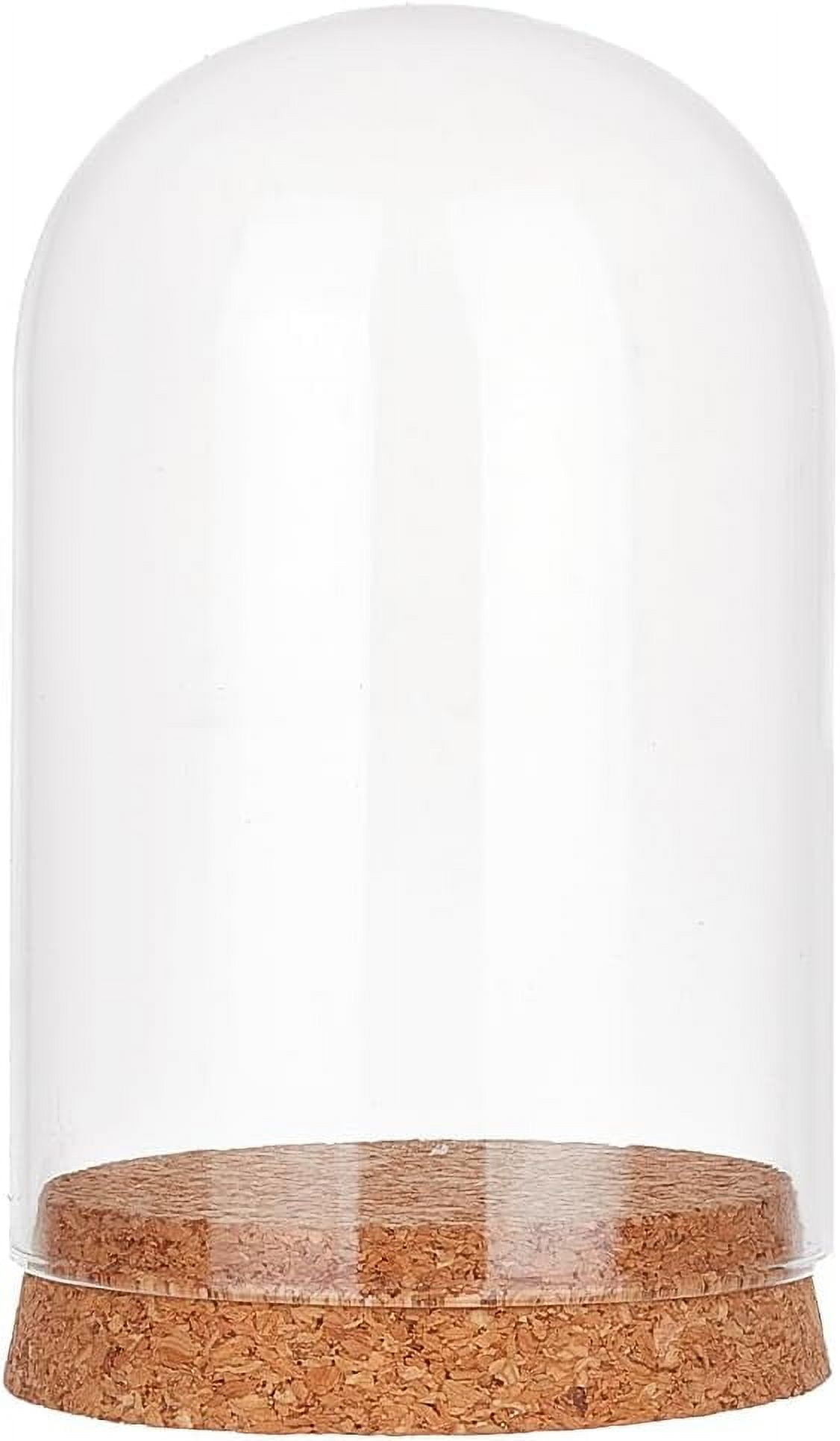 Glass Dome Cover Decorative Display Case Cloche Bell Jar Terrarium with ...