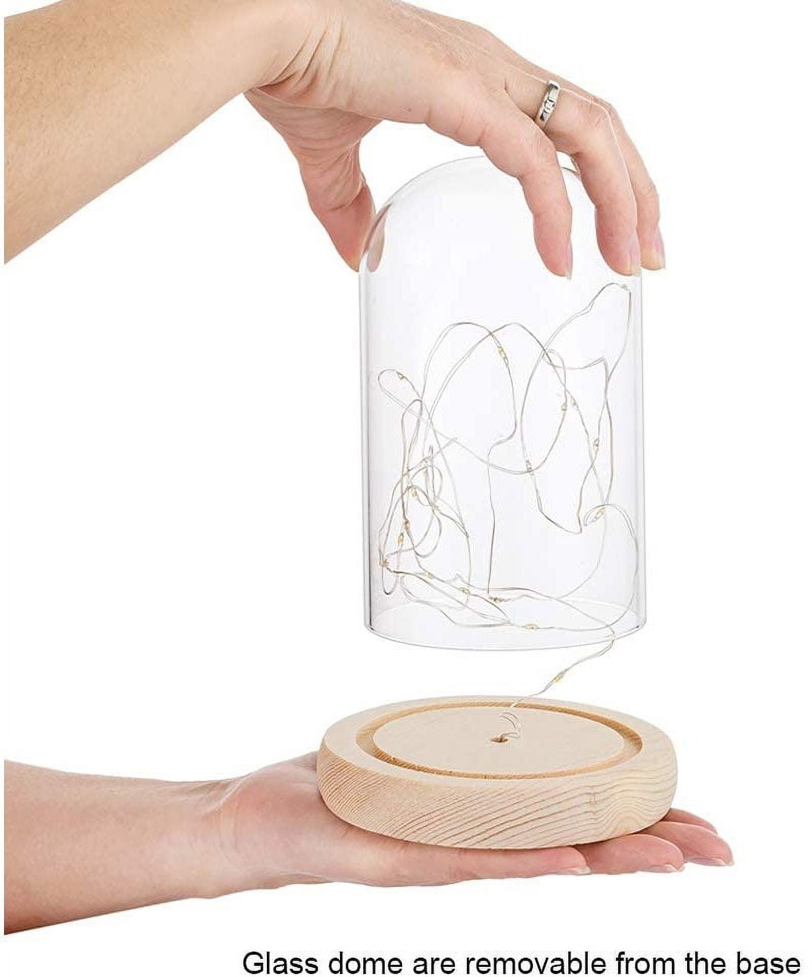 Glass Dome Decoration with Cork Base Plate, Glass Dome Decoration ...
