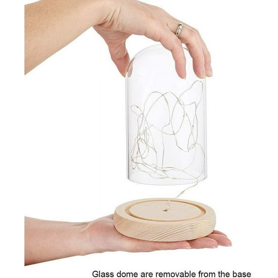 Glass Dome Decoration with Cork Base Plate, Glass Dome Decoration ...