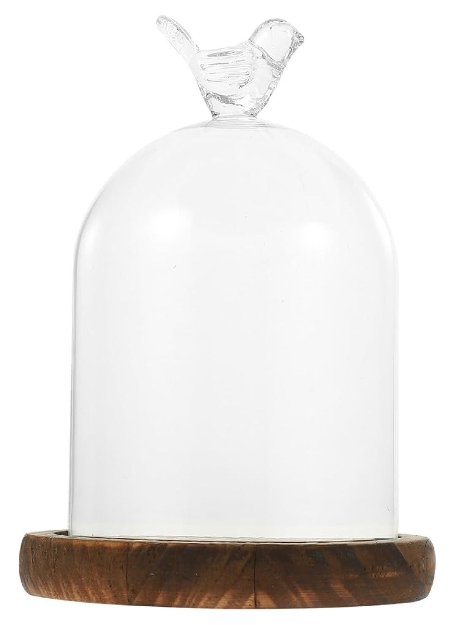 Glass Dome Display Cloche with Wood Base - 5x3 & 3.5x5.5 inch - Flower ...