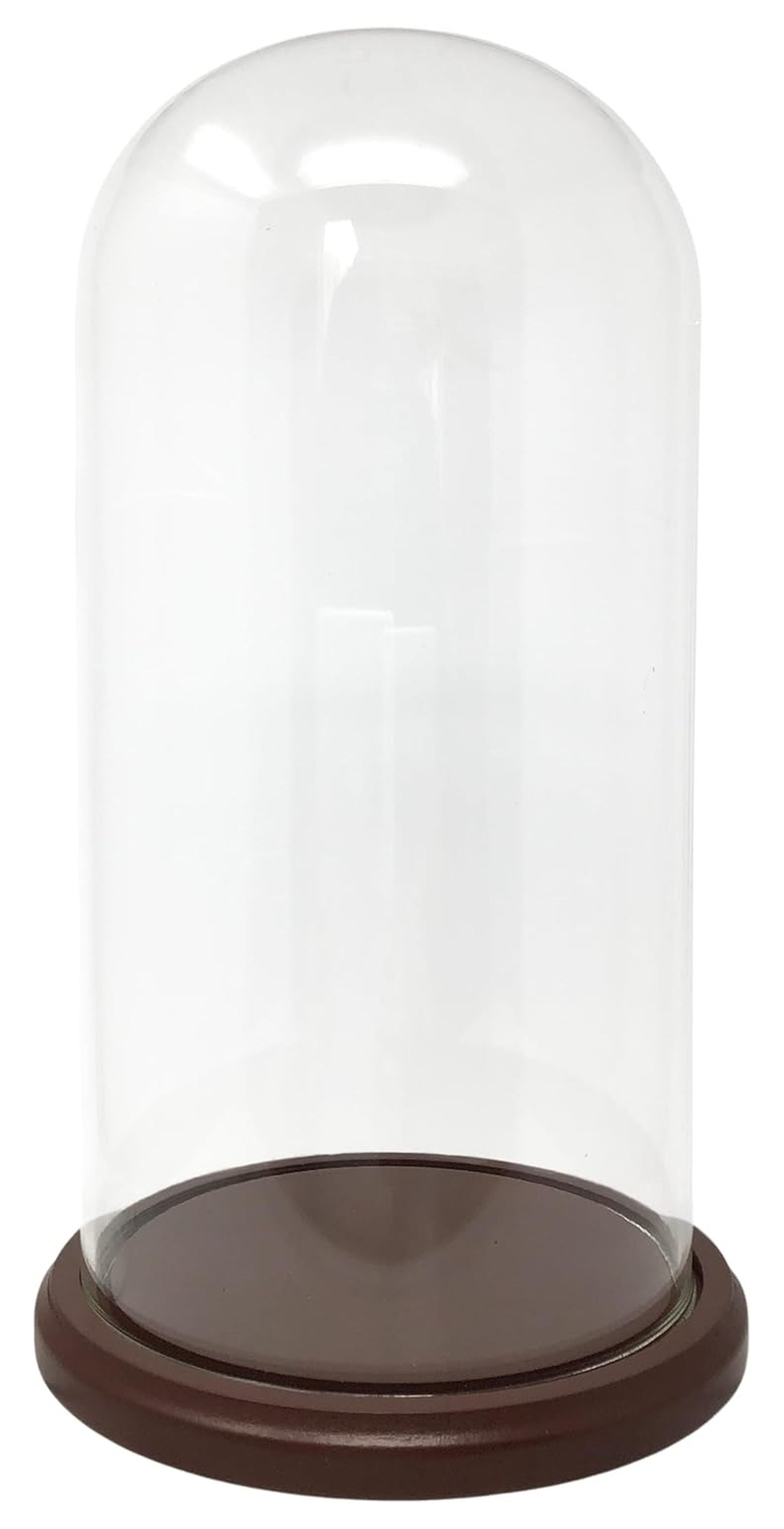 Glass Dome with Wood Base - Clear Glass Display Cloche - Glass Cover ...