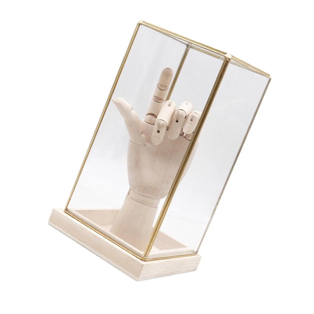 Glass Domes Display Case for Collectibles Art for Interior Designs ...