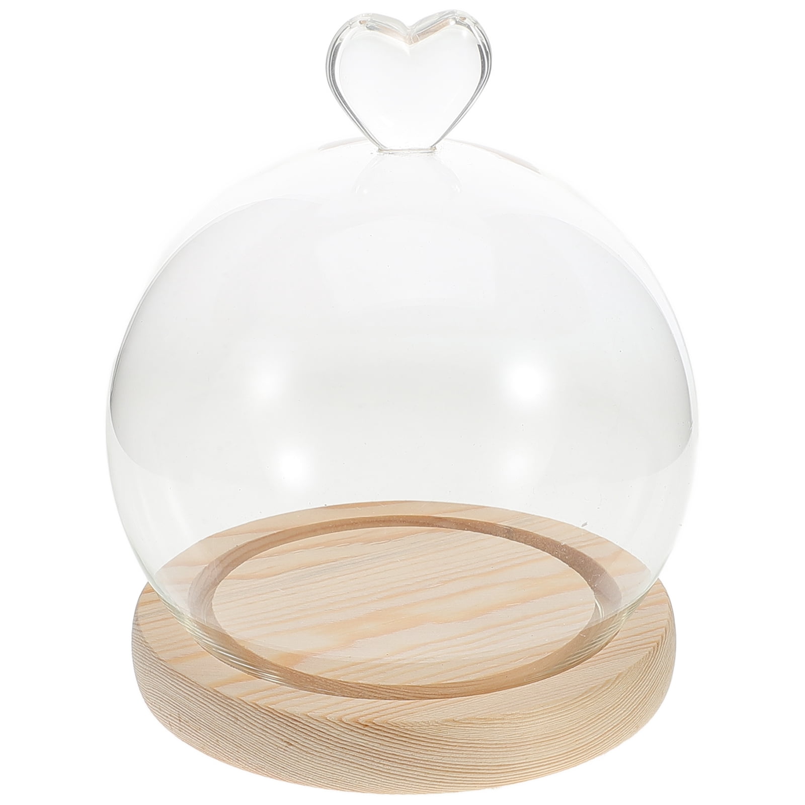 Glass Dust Cover Cake Stand with Dome Globe for LED Display Case ...