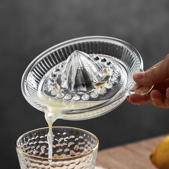 Glass Citrus Juicer
