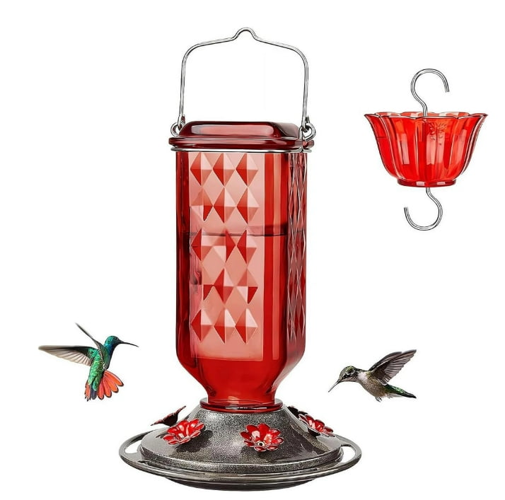 Glass Hummingbird Feeder for Outdoor Hanging,24 Ounces,6 Feeding Ports ...